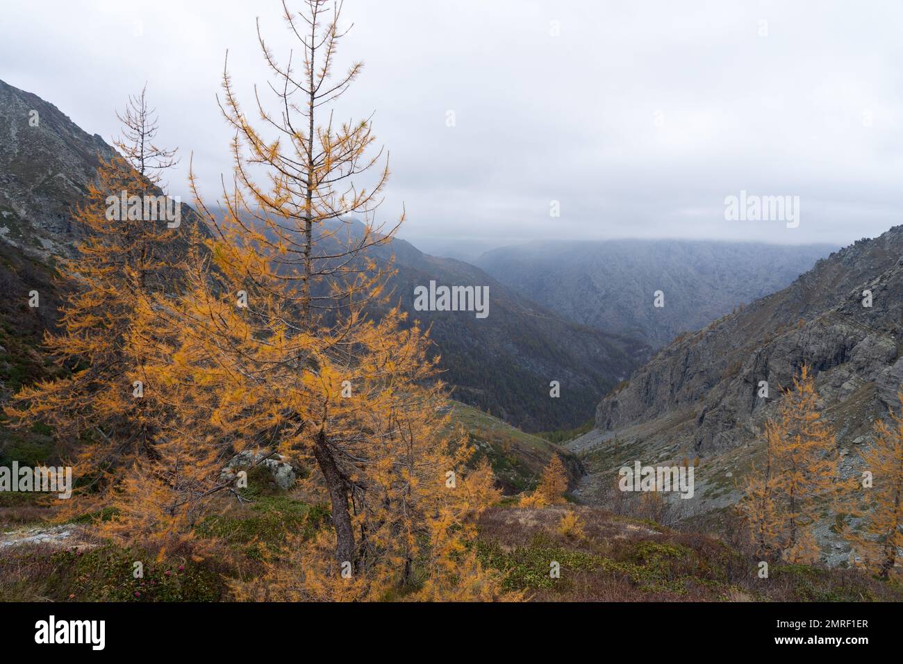 A landscape of mountain range with trees in autumn Stock Photo - Alamy