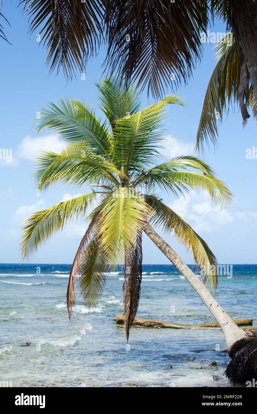 Panama kuna yala guna village hi-res stock photography and images - Alamy