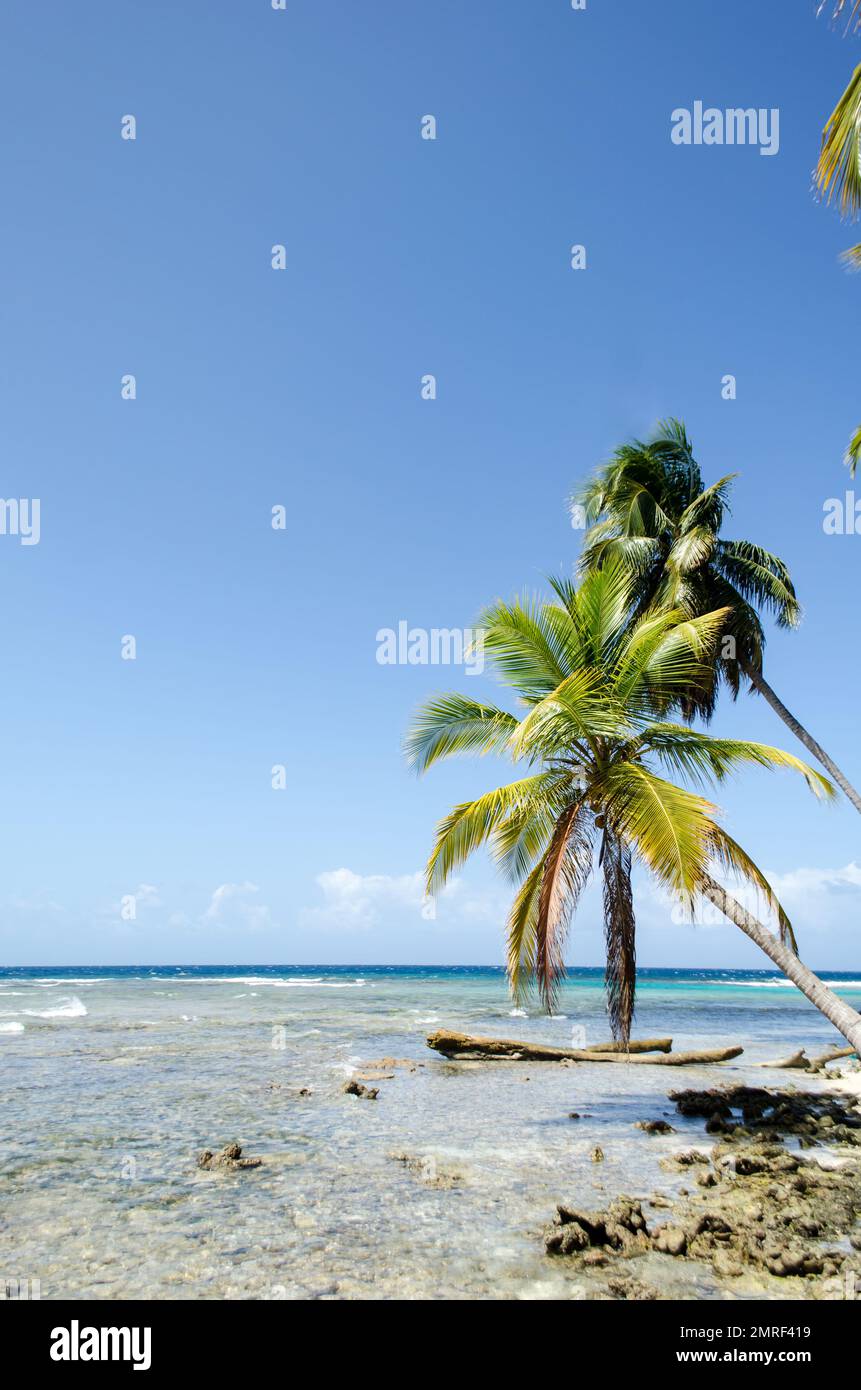 Panama kuna yala guna village hi-res stock photography and images - Alamy