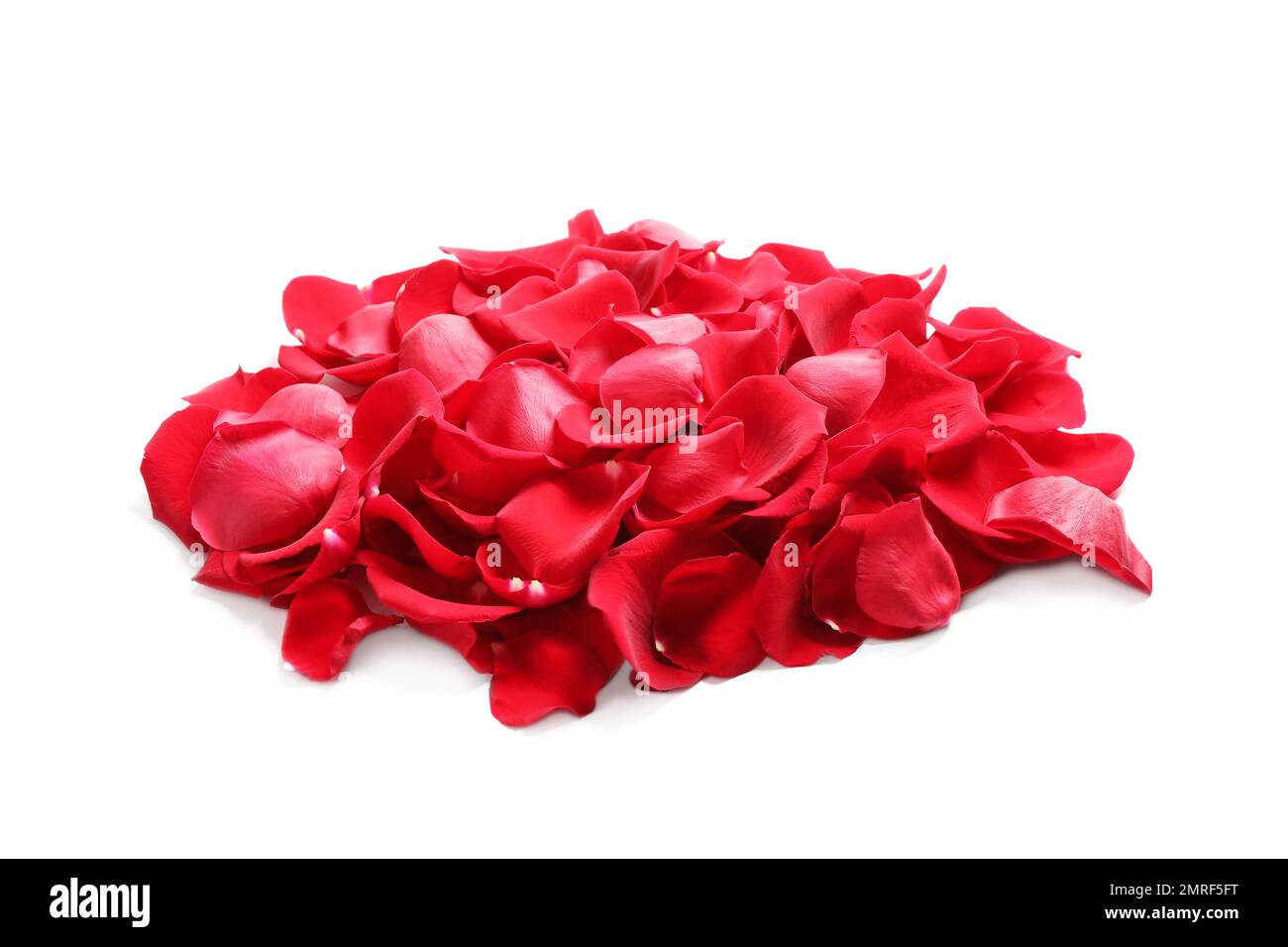 Pile of red rose petals on white background Stock Photo - Alamy
