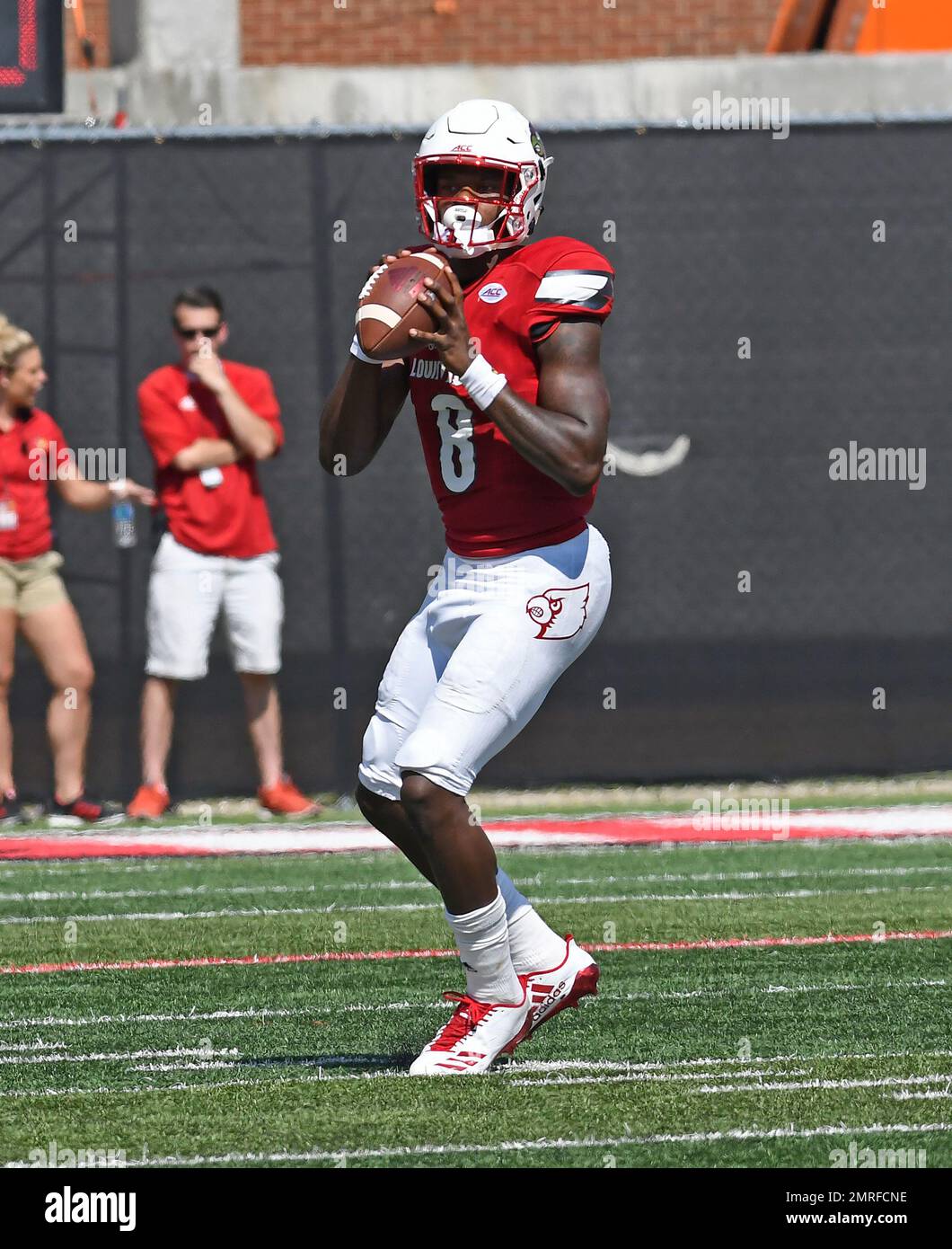 Louisville quarterback Lamar Jackson (8) drops back to pass during the ...