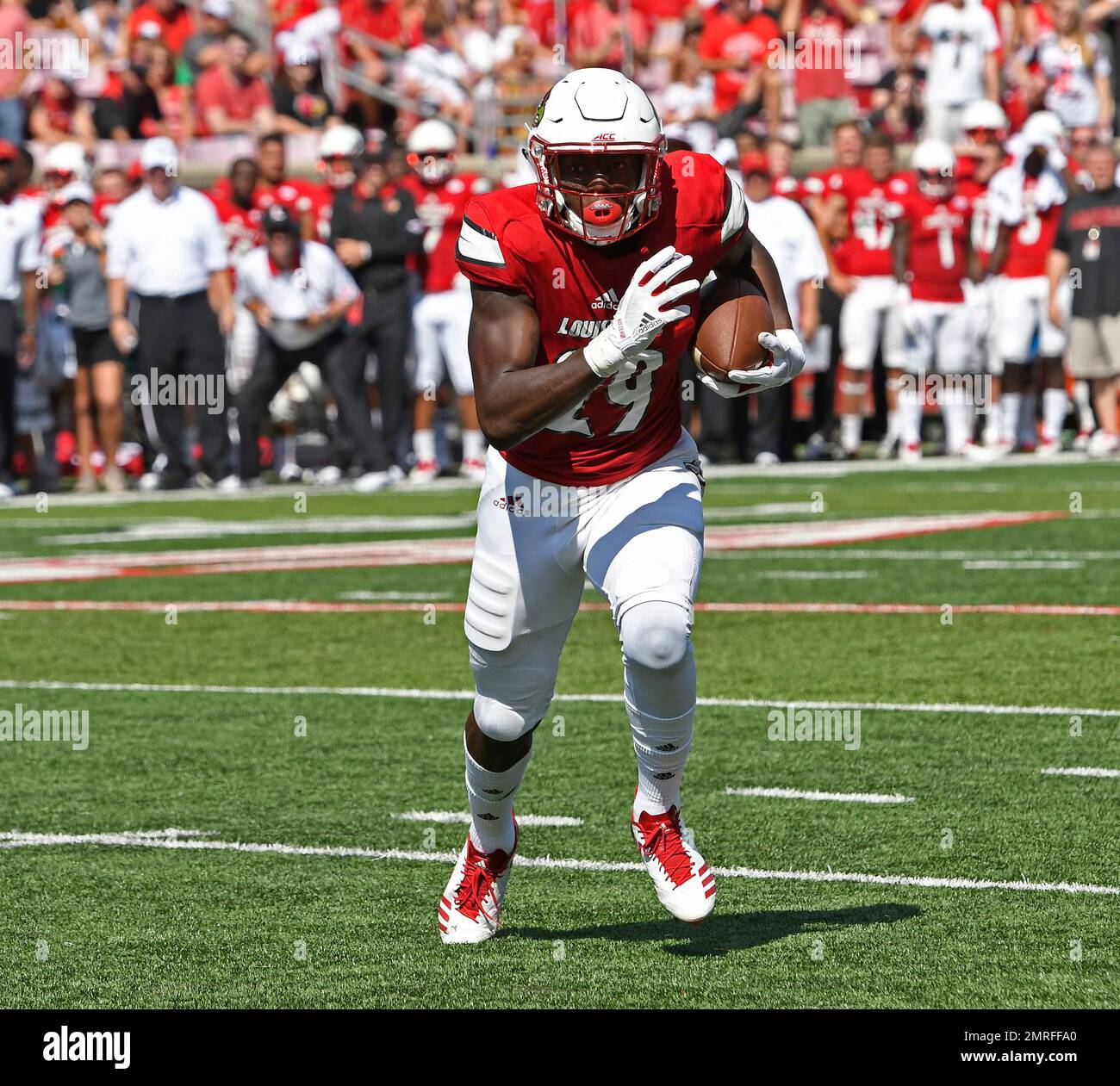 Louisville running back Malik Williams (29) gains yardage during the ...