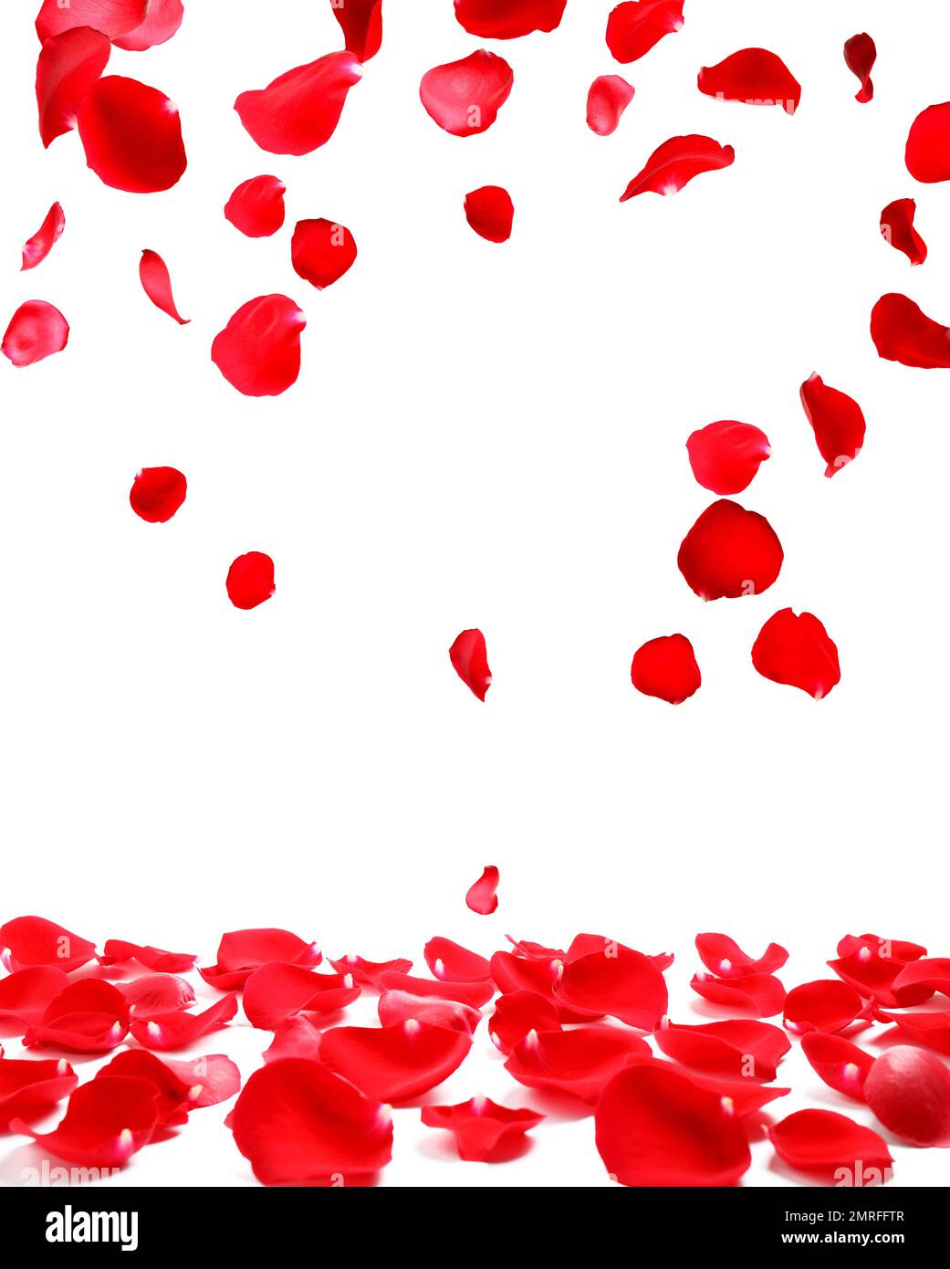 Falling fresh red rose petals hi-res stock photography and images - Alamy
