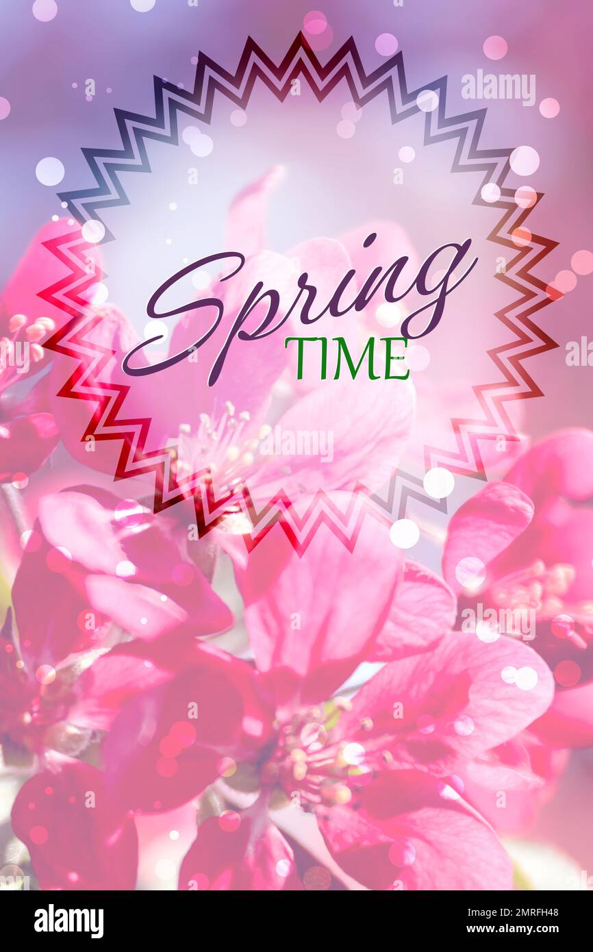 Creative greeting card design with flowers. Hello spring Stock Photo ...