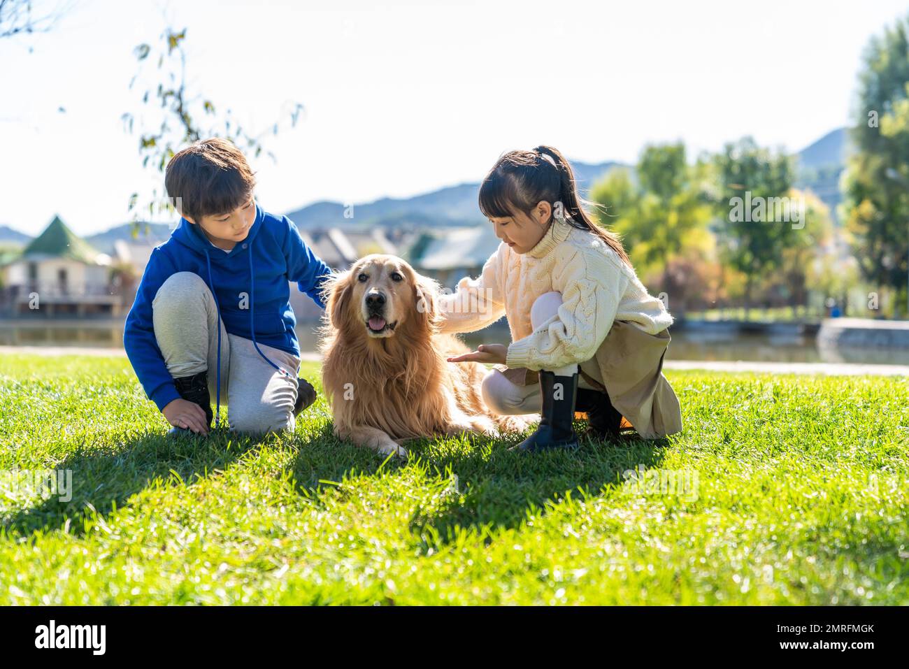 Brother and sister to play with the dog Stock Photo - Alamy