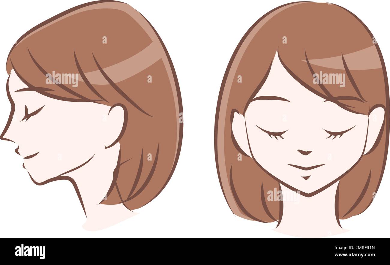 Front face and profile of a young woman. Illustration for explaining ...