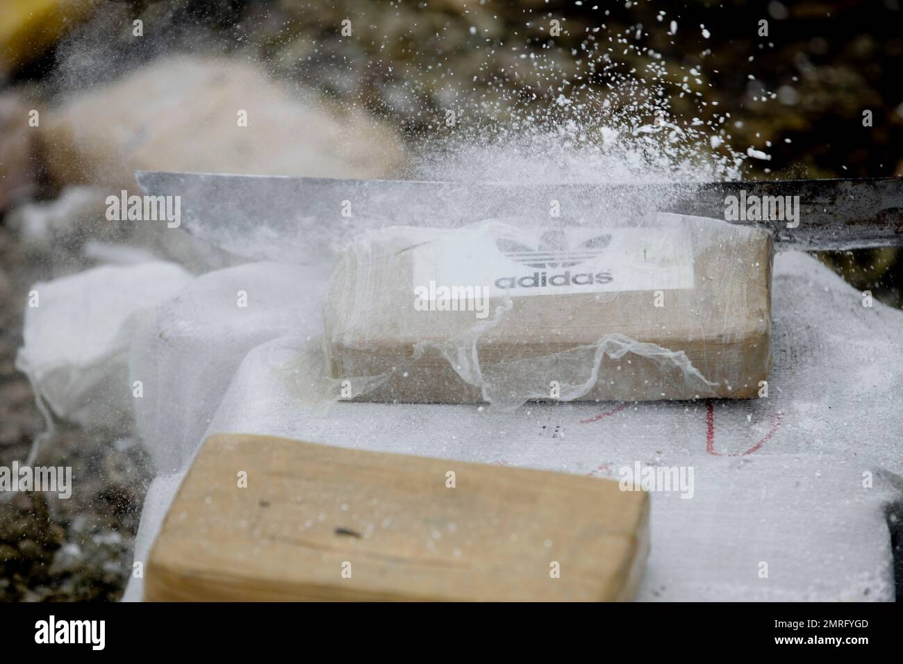 In this Sept. 15, 2017 photo, an anti-narcotics police officer slashes ...