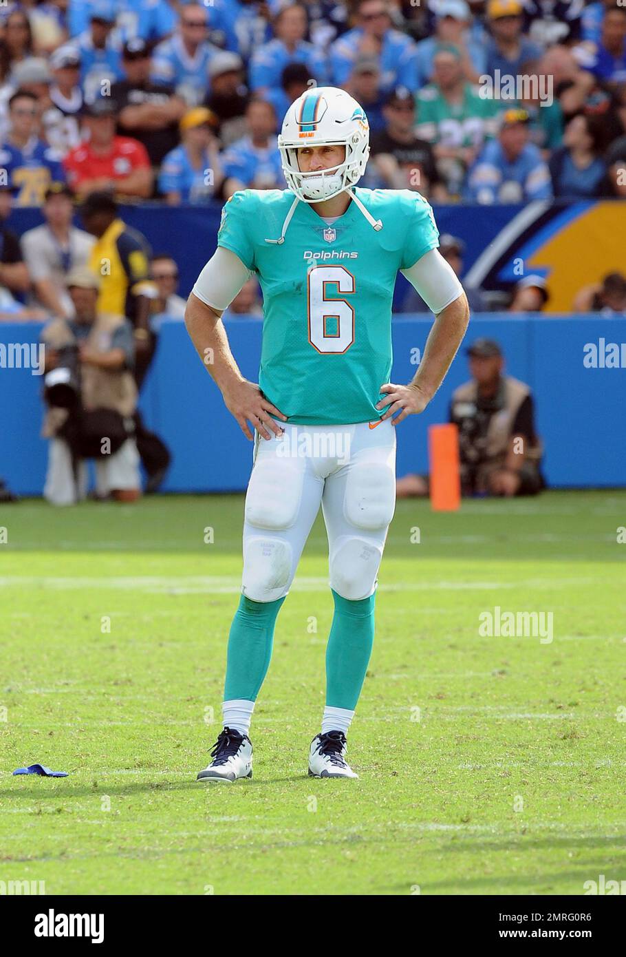 Miami Dolphins quarterback (6) Jay Cutler on the field during the ...