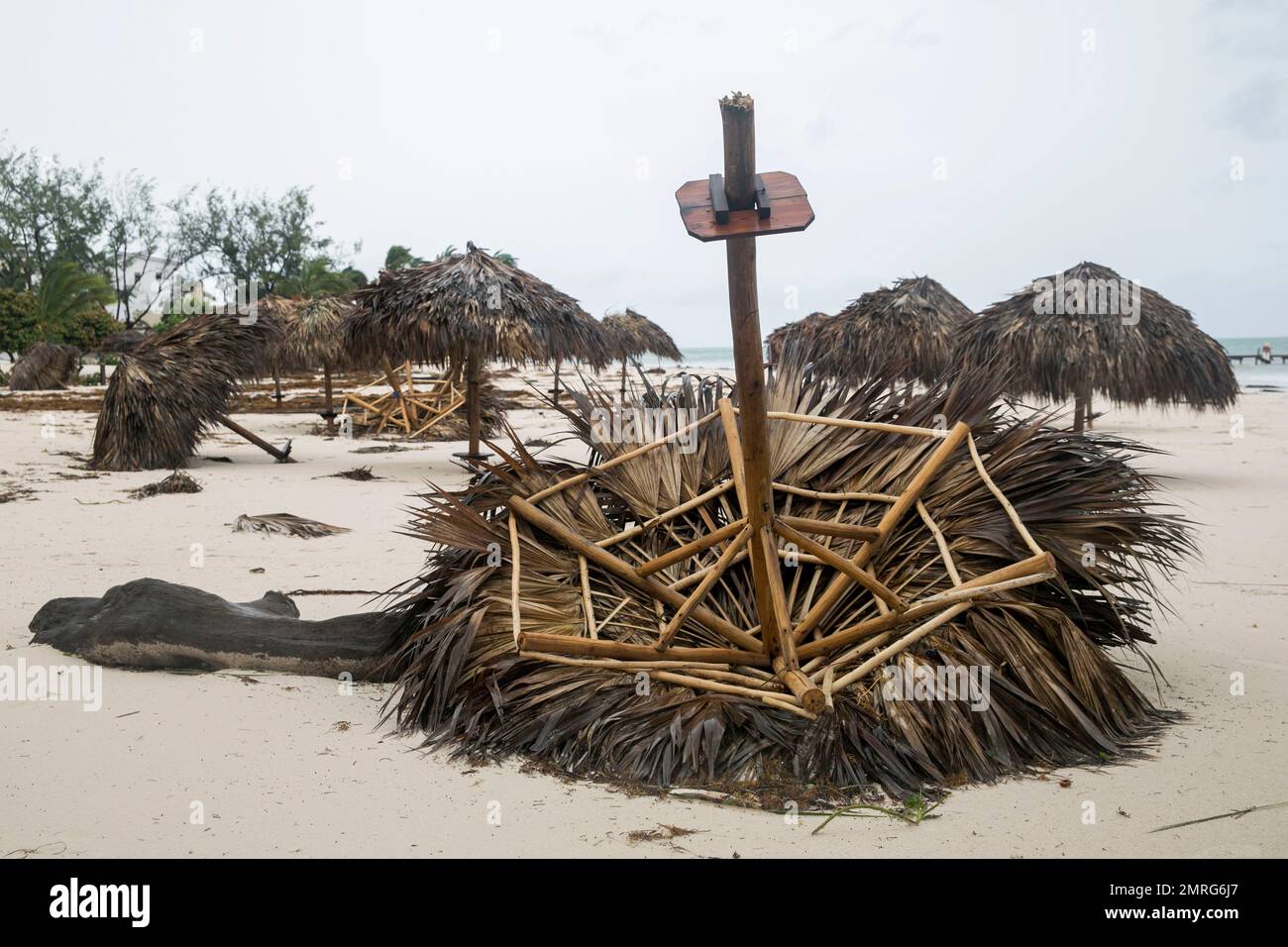 Broken canopies lay around Cortecito Beach after the crossing of ...