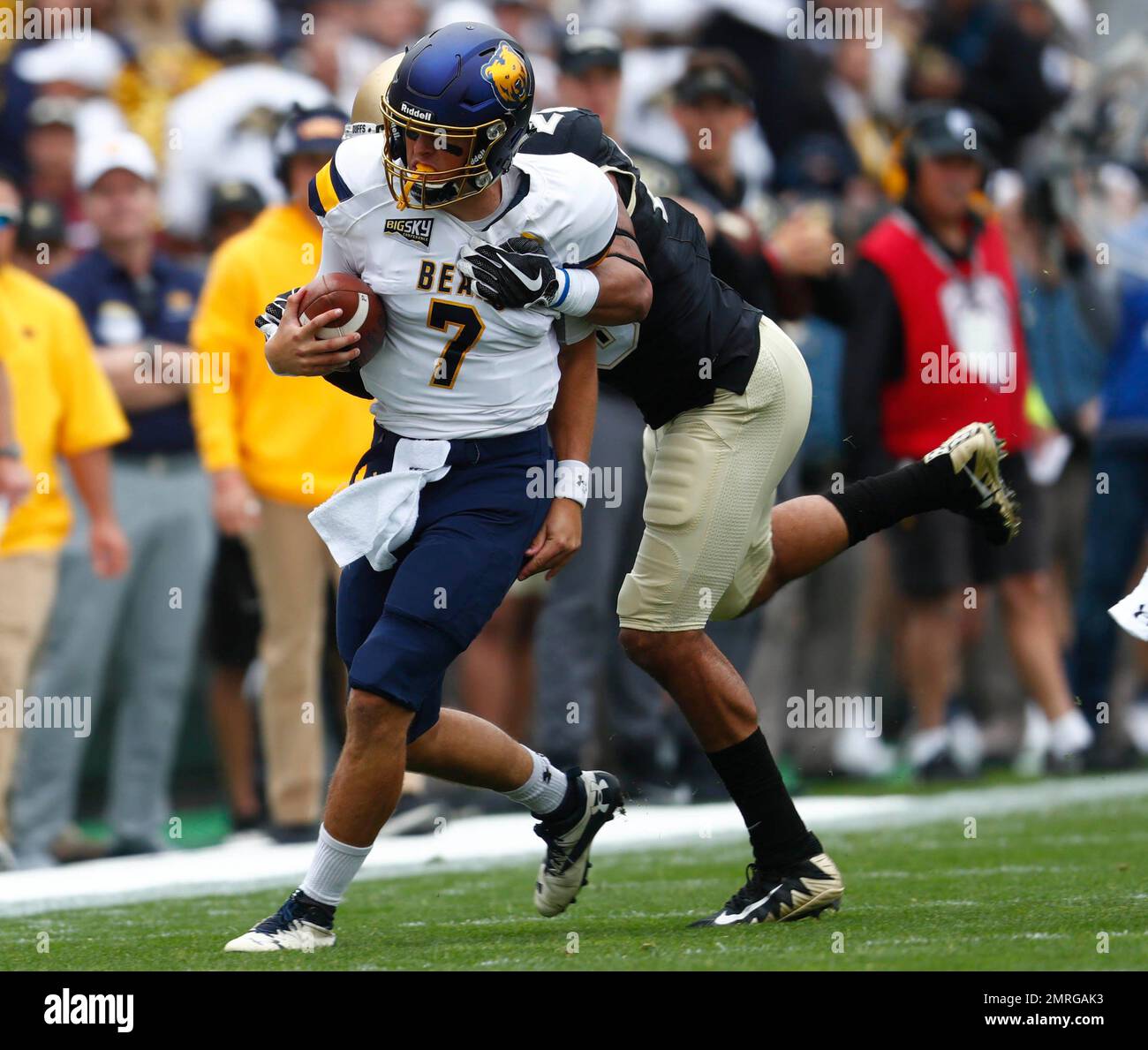 Northern Colorado Bears quarterback Jacob Knipp (7) is talked by ...