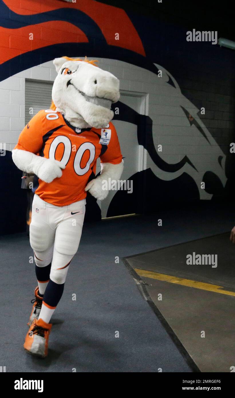 Miles the Denver Broncos mascot runs to the field prior to an NFL ...