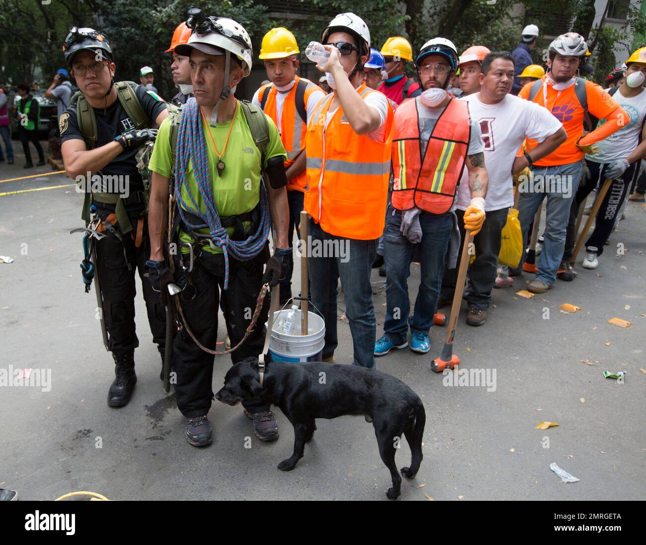 Volunteers and rescue workers line up to work in rescue operations on ...