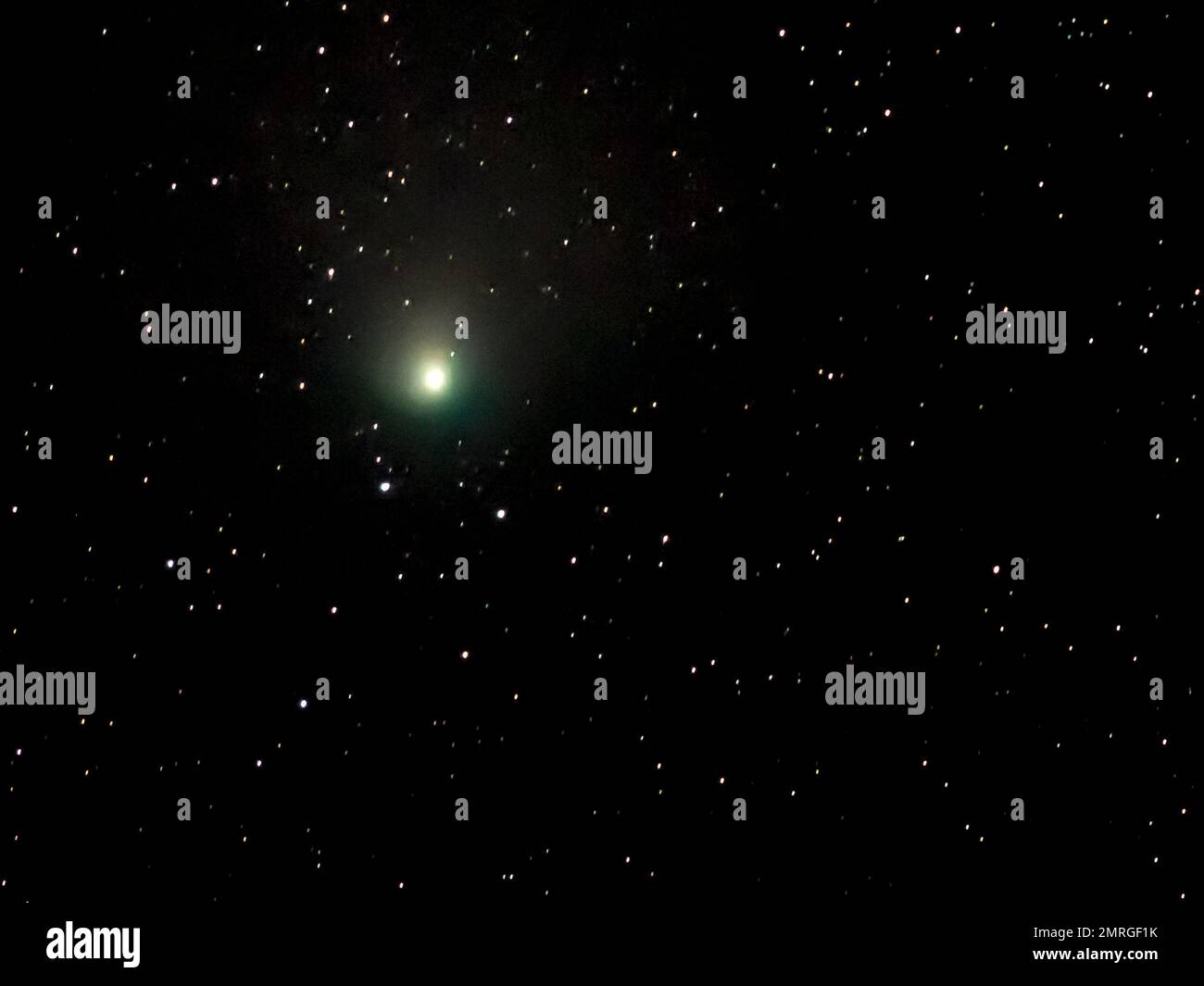 Sheerness, Kent, UK. 1st Feb, 2023. The rare 'Green Comet' known as 'C/2022 E3 (ZTF)' seen ...