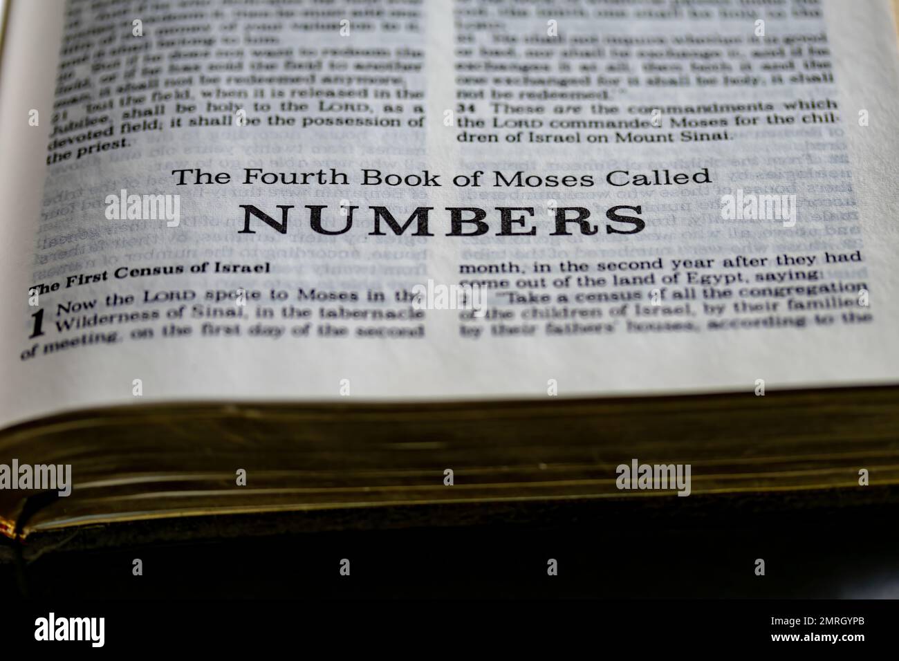 Book of moses hi-res stock photography and images - Alamy