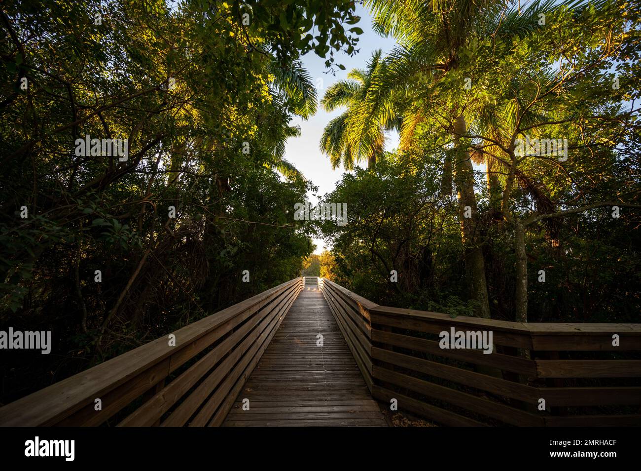Elevated boardwalk at Green Cay Nature Center and Wetlands in Boynton ...