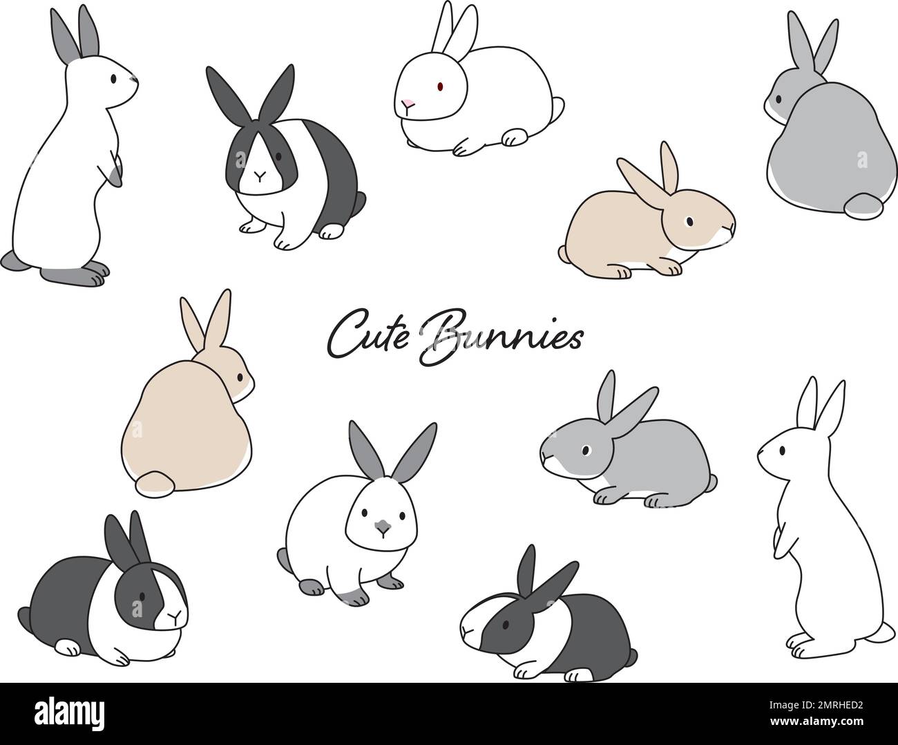 White himalayan rabbit Stock Vector Images - Alamy
