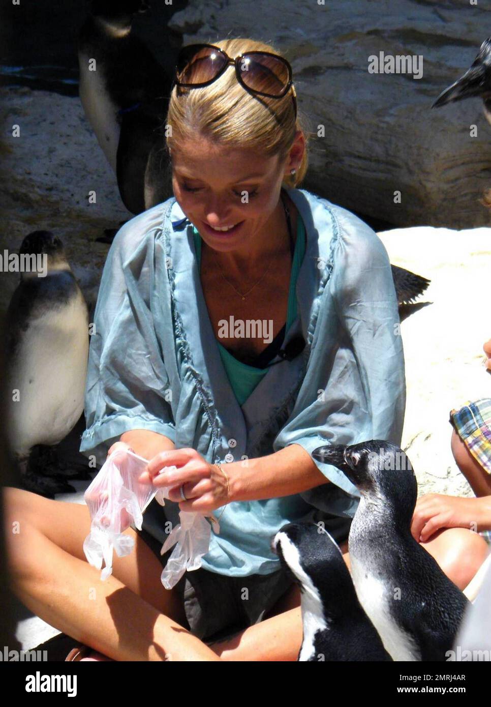 Exclusive!! US TV Show host Kelly Ripa visits Parrot Jungle Island with ...