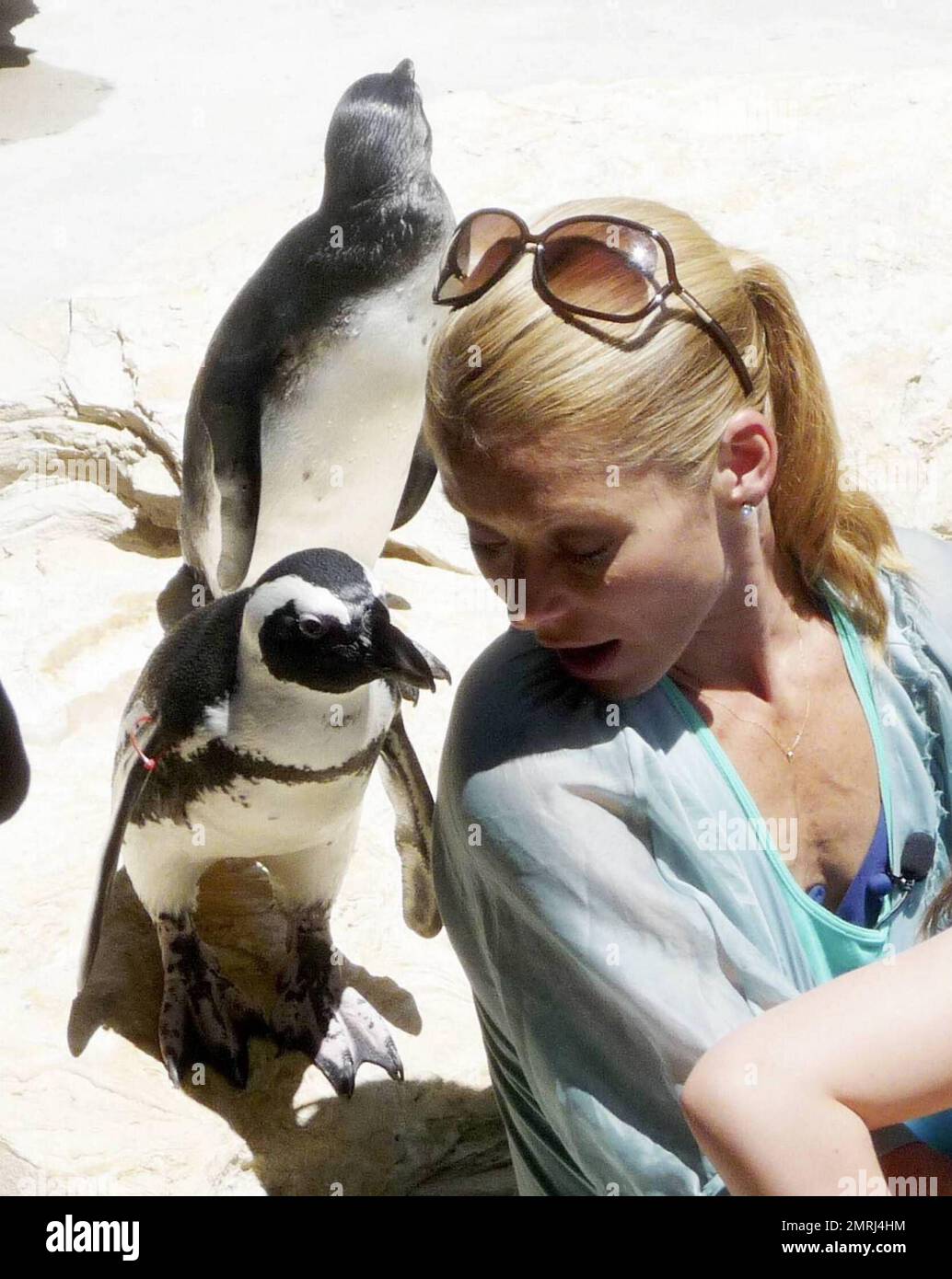 Exclusive!! US TV Show host Kelly Ripa visits Parrot Jungle Island with ...