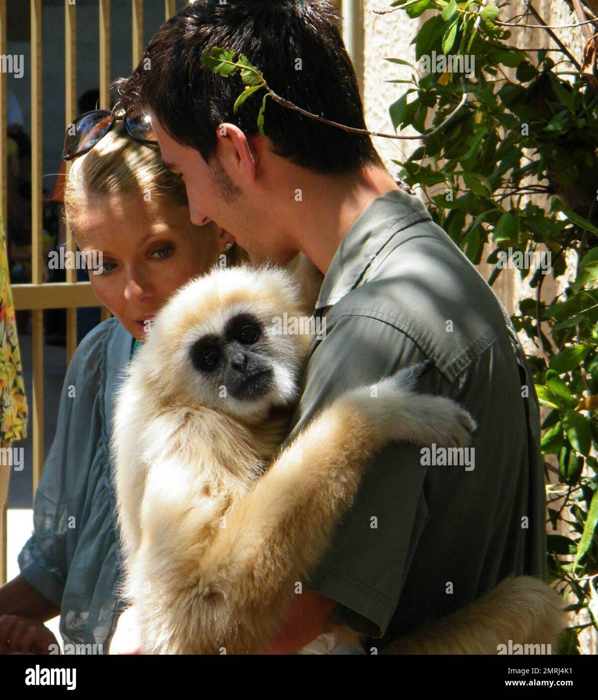 Exclusive!! US TV Show host Kelly Ripa visits Parrot Jungle Island with ...