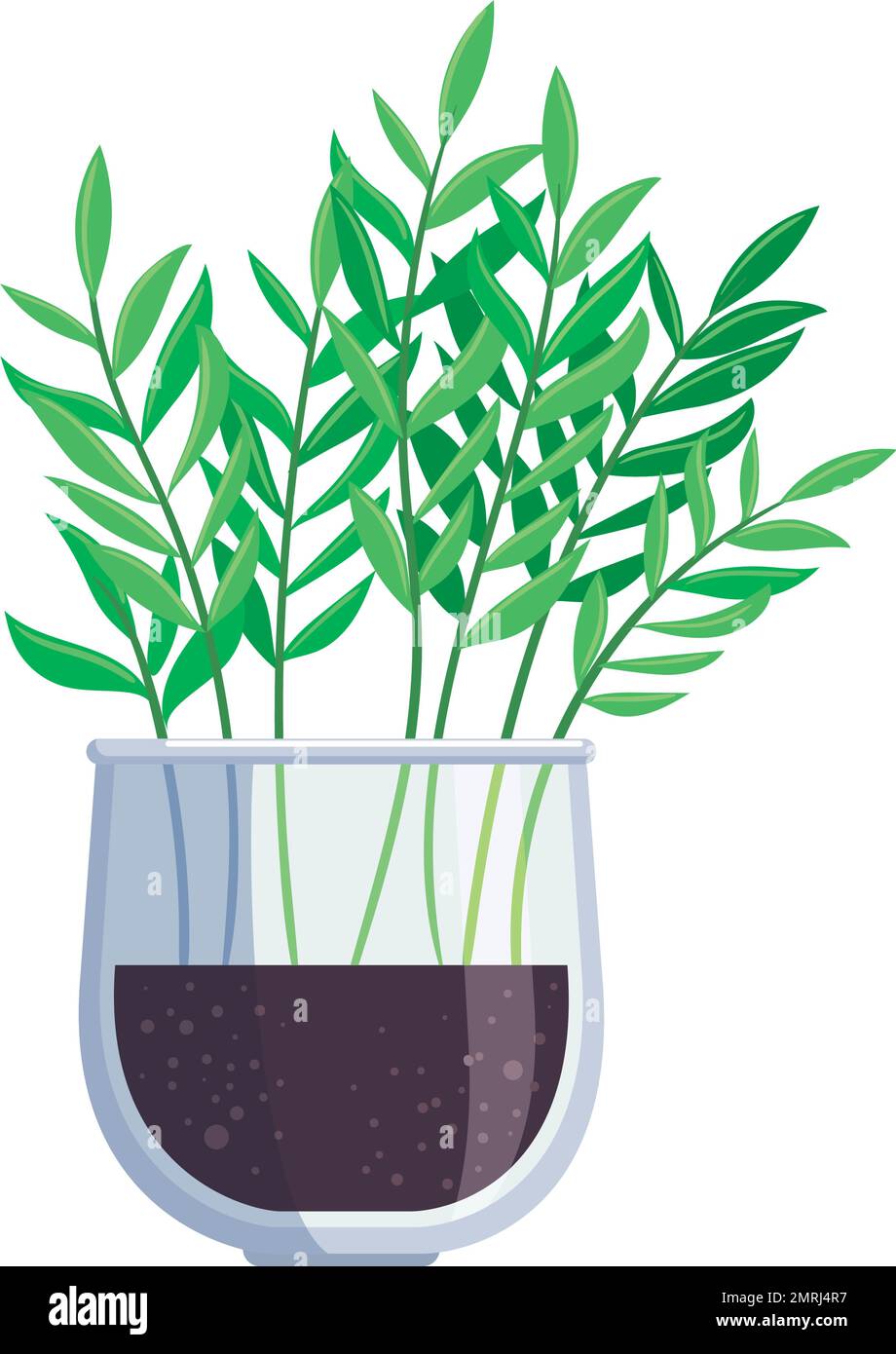 houseplant in transparent pot Stock Vector Image & Art - Alamy