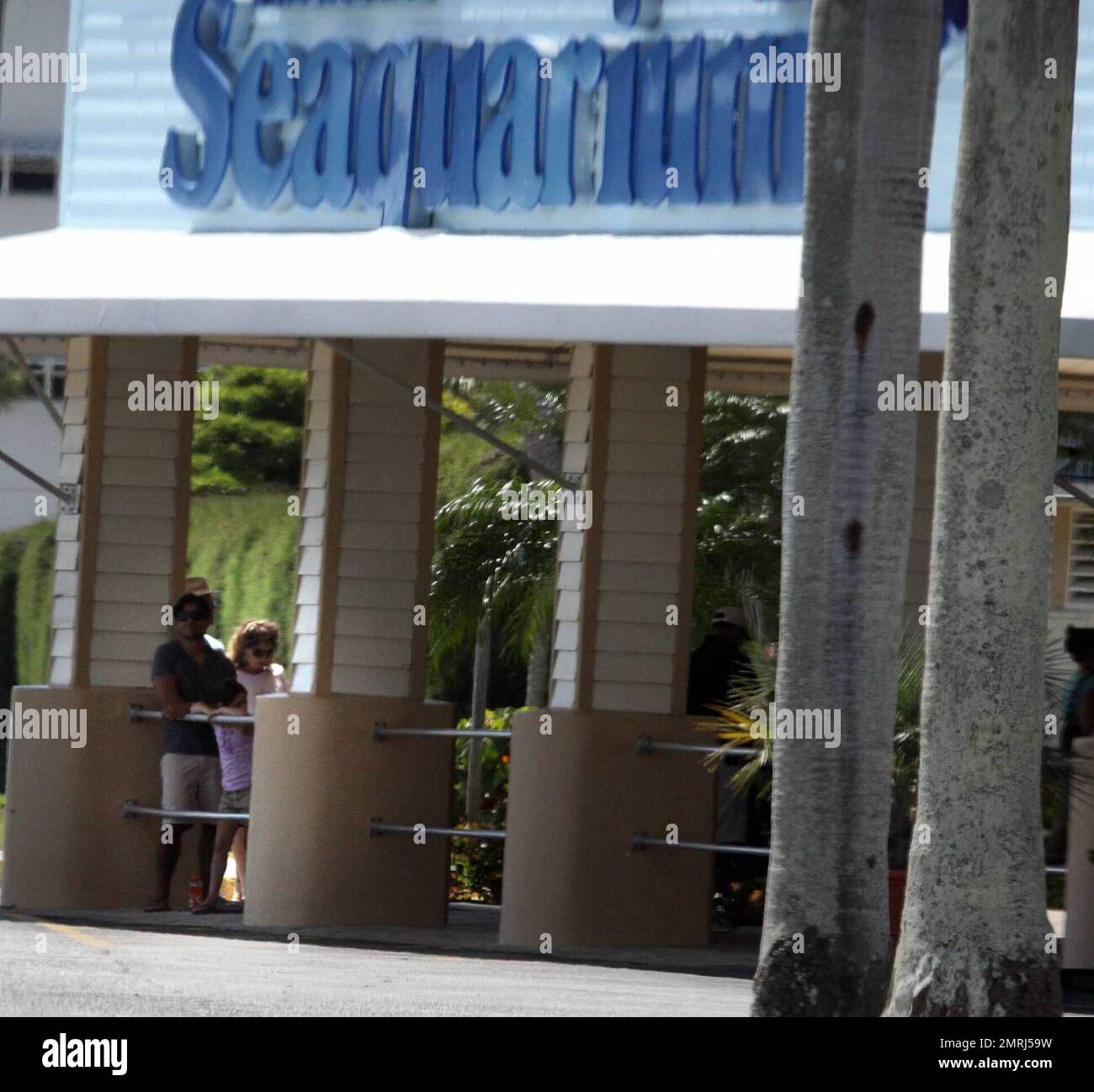 Parrot jungle island miami hi-res stock photography and images - Alamy