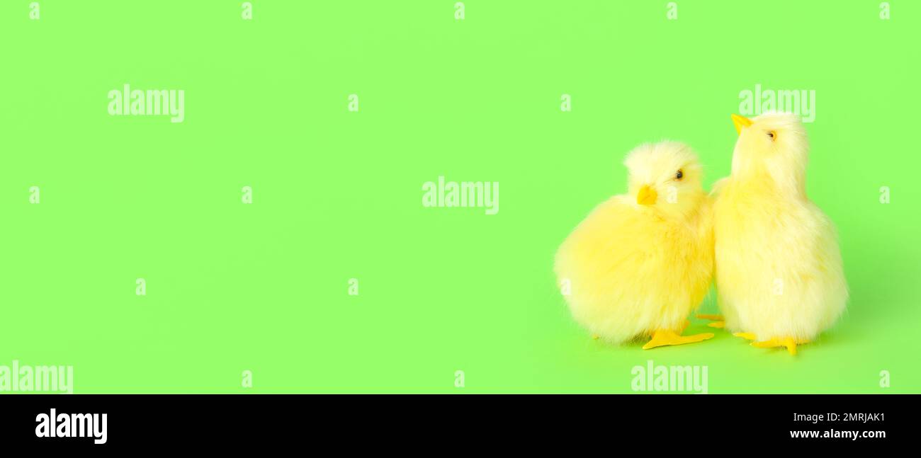 Cute yellow chickens on green background with space for text Stock ...