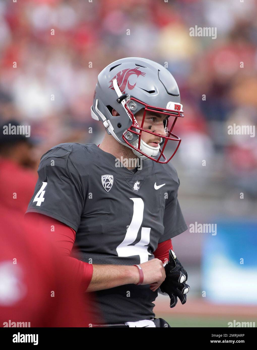 Washington State quarterback Luke Falk (4) looks on during the first ...