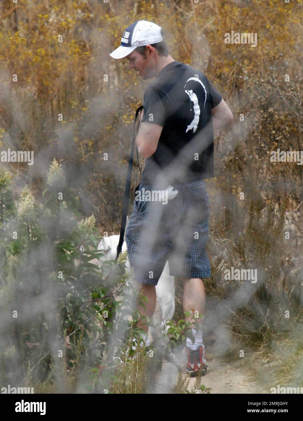 Exclusive!! "Entourage" star Kevin Dillon takes his dogs for a walk in ...