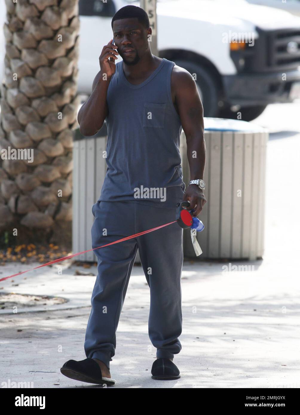 Kevin hart and dog hi-res stock photography and images - Alamy