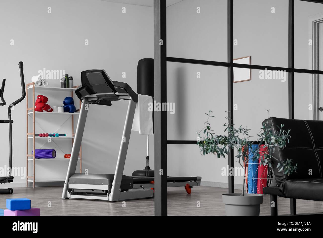 Interior of gym with modern treadmill and sport equipment Stock Photo ...