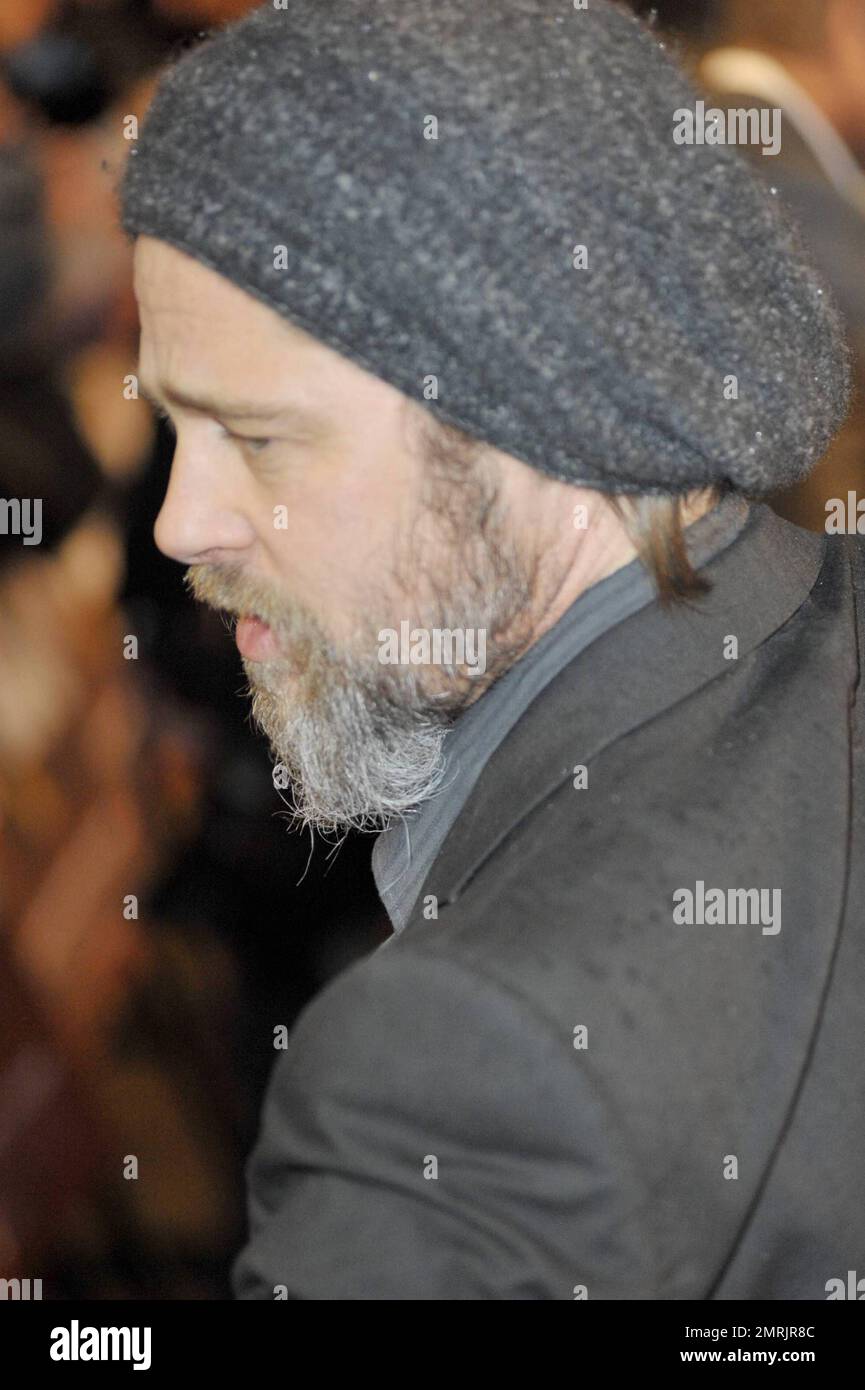 Brad Pitt Long Goatee