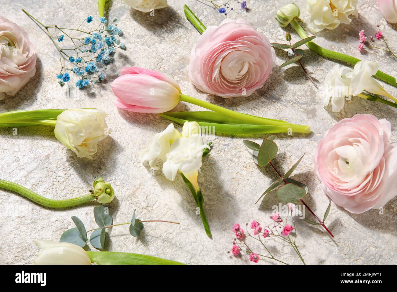 Composition with beautiful spring flowers on light background Stock ...