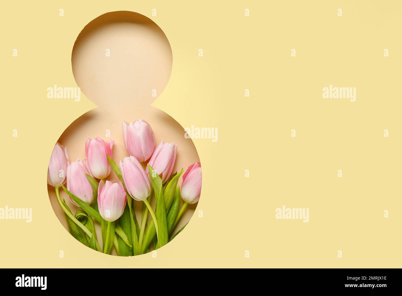 Tulip flowers visible through cut color paper in shape of figure 8 ...