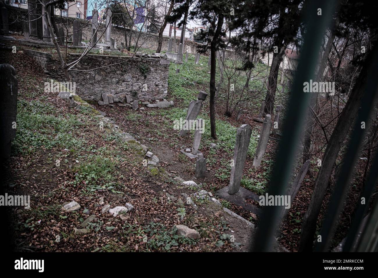 Graves remain under the ground, while the heads of some of them are ...