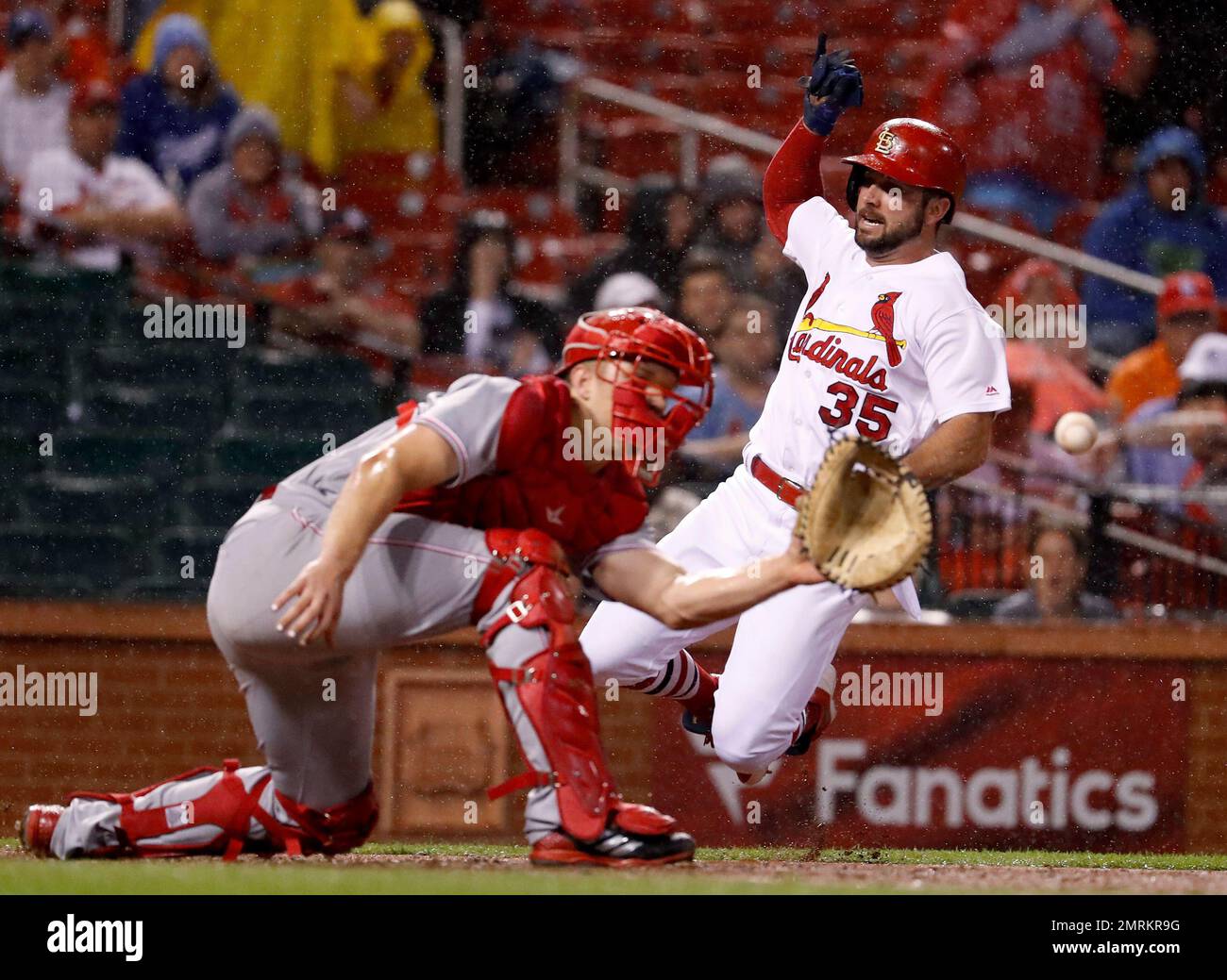 St. Louis Cardinals' Greg Garcia (35) scores past Cincinnati Reds ...