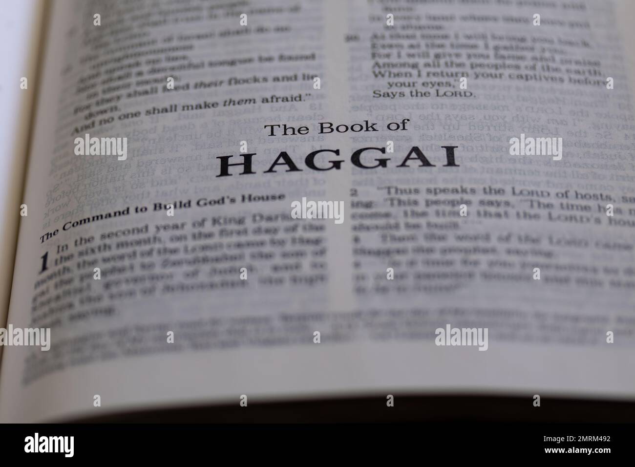 Bible haggai hi-res stock photography and images - Alamy