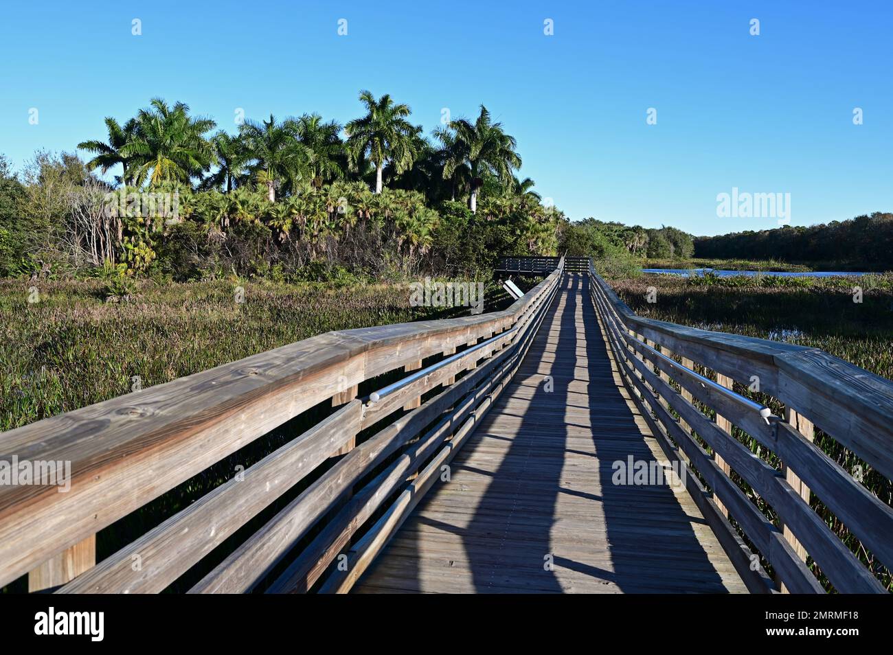 Elevated boardwalk at Green Cay Nature Center and Wetlands in Boynton ...