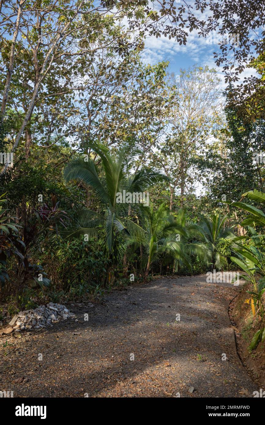Costa rica nature trail hi-res stock photography and images - Alamy