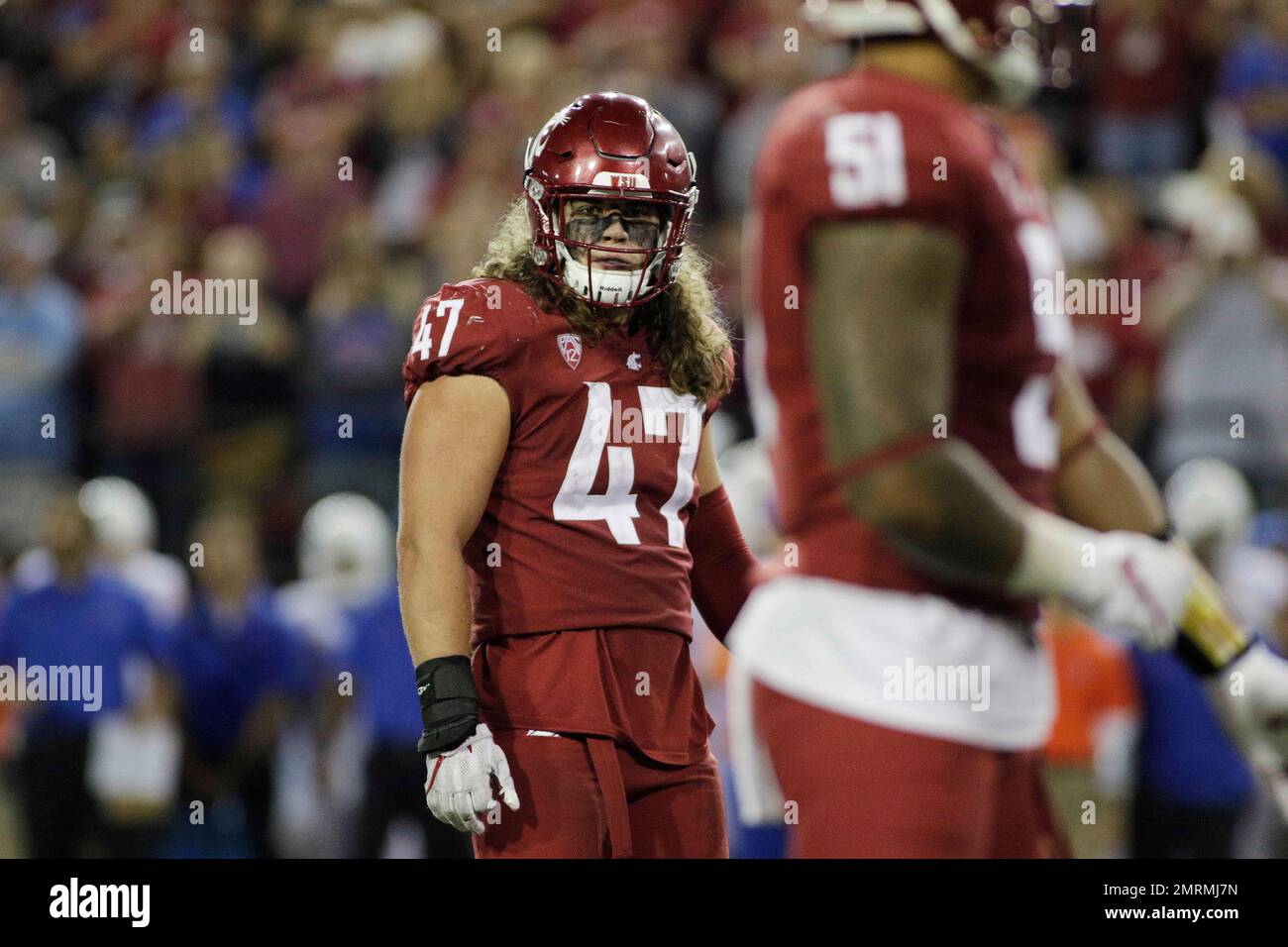 Washington State linebacker Peyton Pelluer (47) stands on the field ...