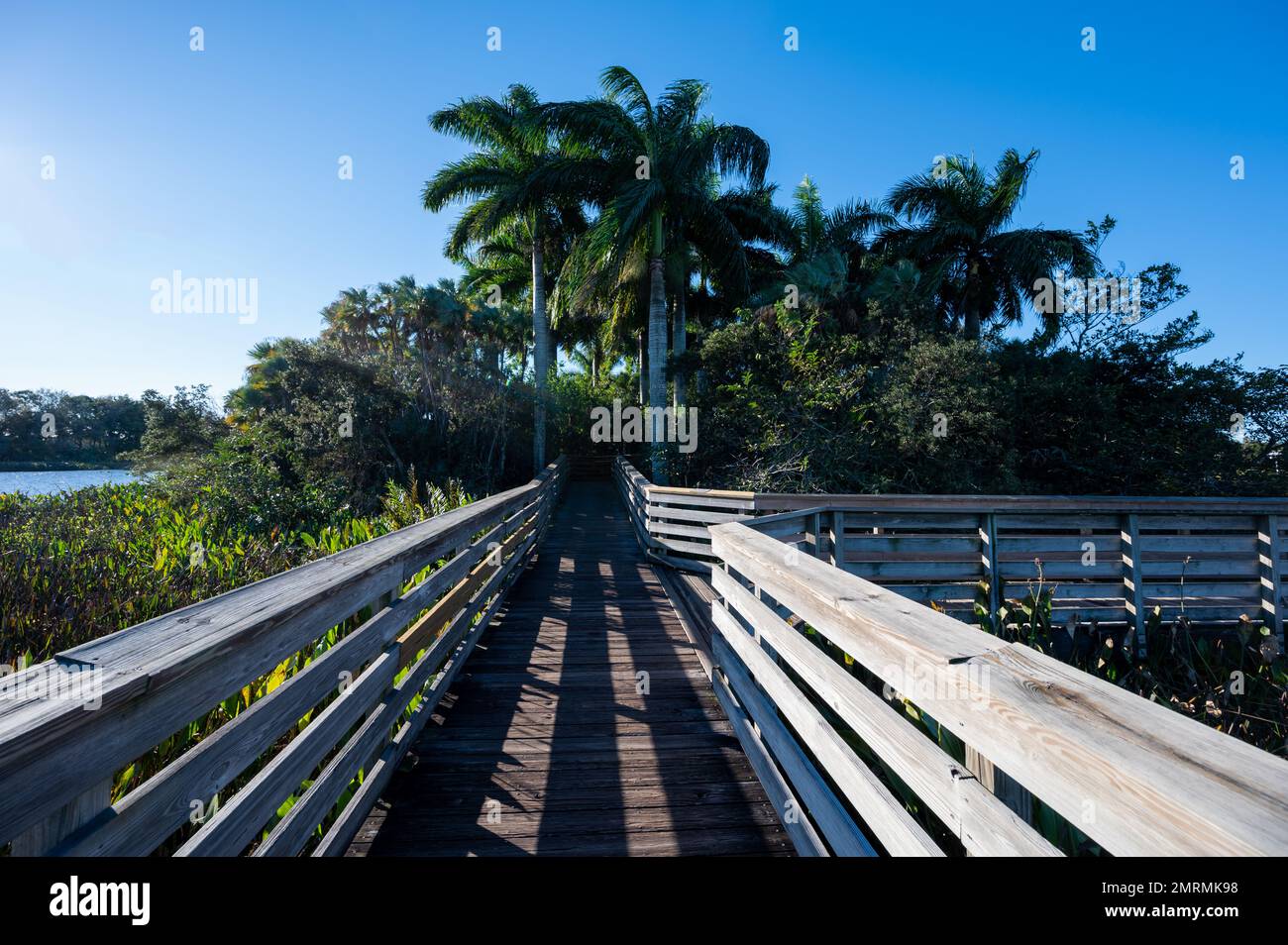 Elevated boardwalk at Green Cay Nature Center and Wetlands in Boynton ...