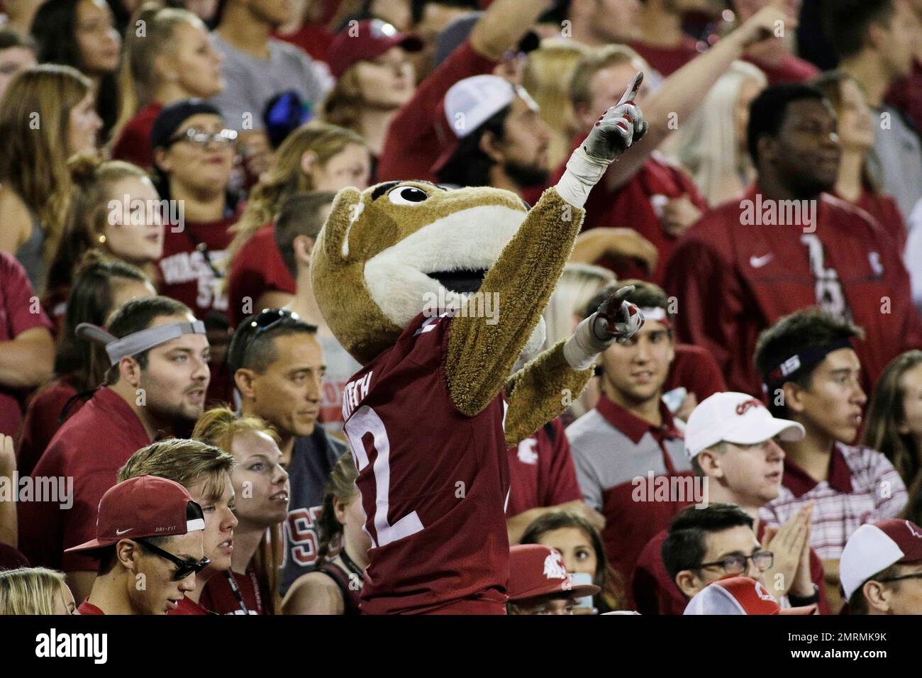 The Washington State mascot leads fans in a cheer during the first half ...