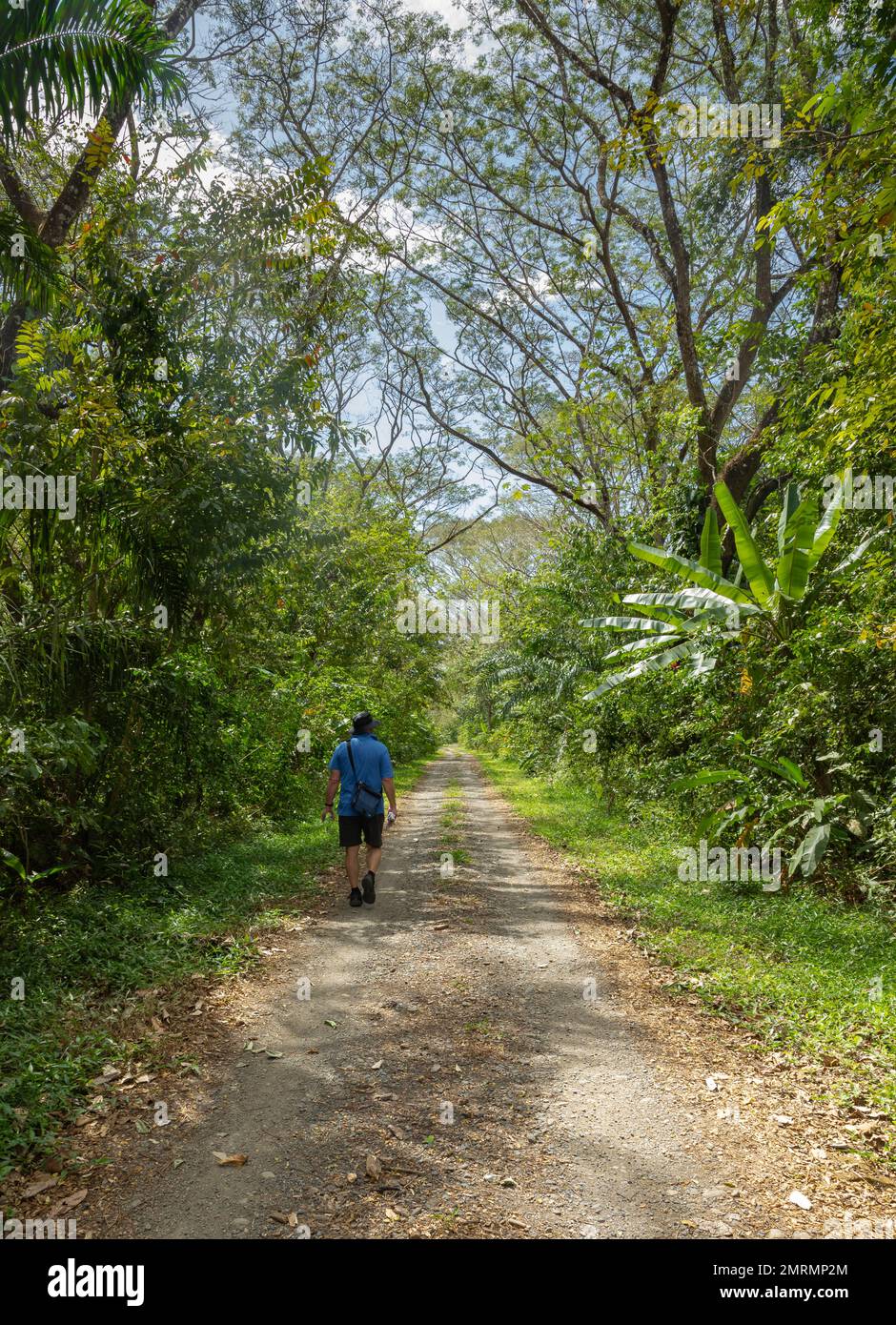 Tourist walking down a Rural road in Costa Rica Stock Photo - Alamy