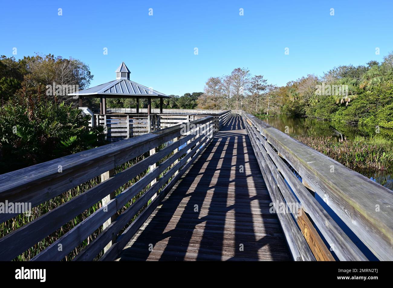 Elevated boardwalk at Green Cay Nature Center and Wetlands in Boynton ...