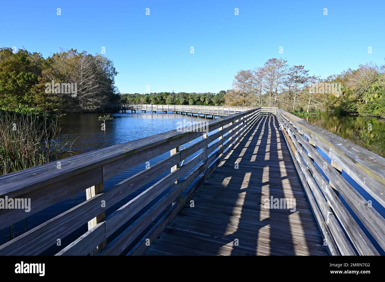 Elevated boardwalk at Green Cay Nature Center and Wetlands in Boynton ...