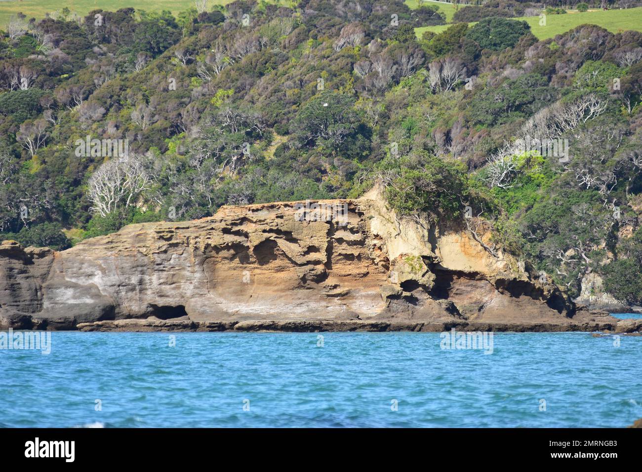 Eroded Coastal Rocks Of Tawharanui Peninsula. Location: Tawharanui ...