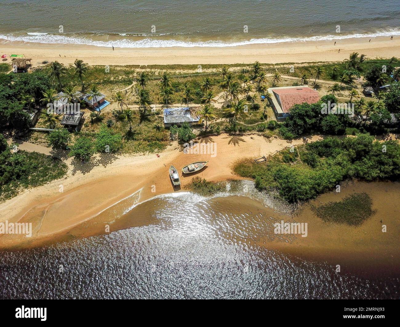 An aerial view of the lush greenery in Caraiva Brazilian seaside ...