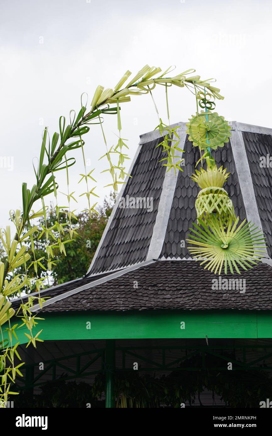 yellow coconut leaves with a sky background. Indonesian called penjor ...