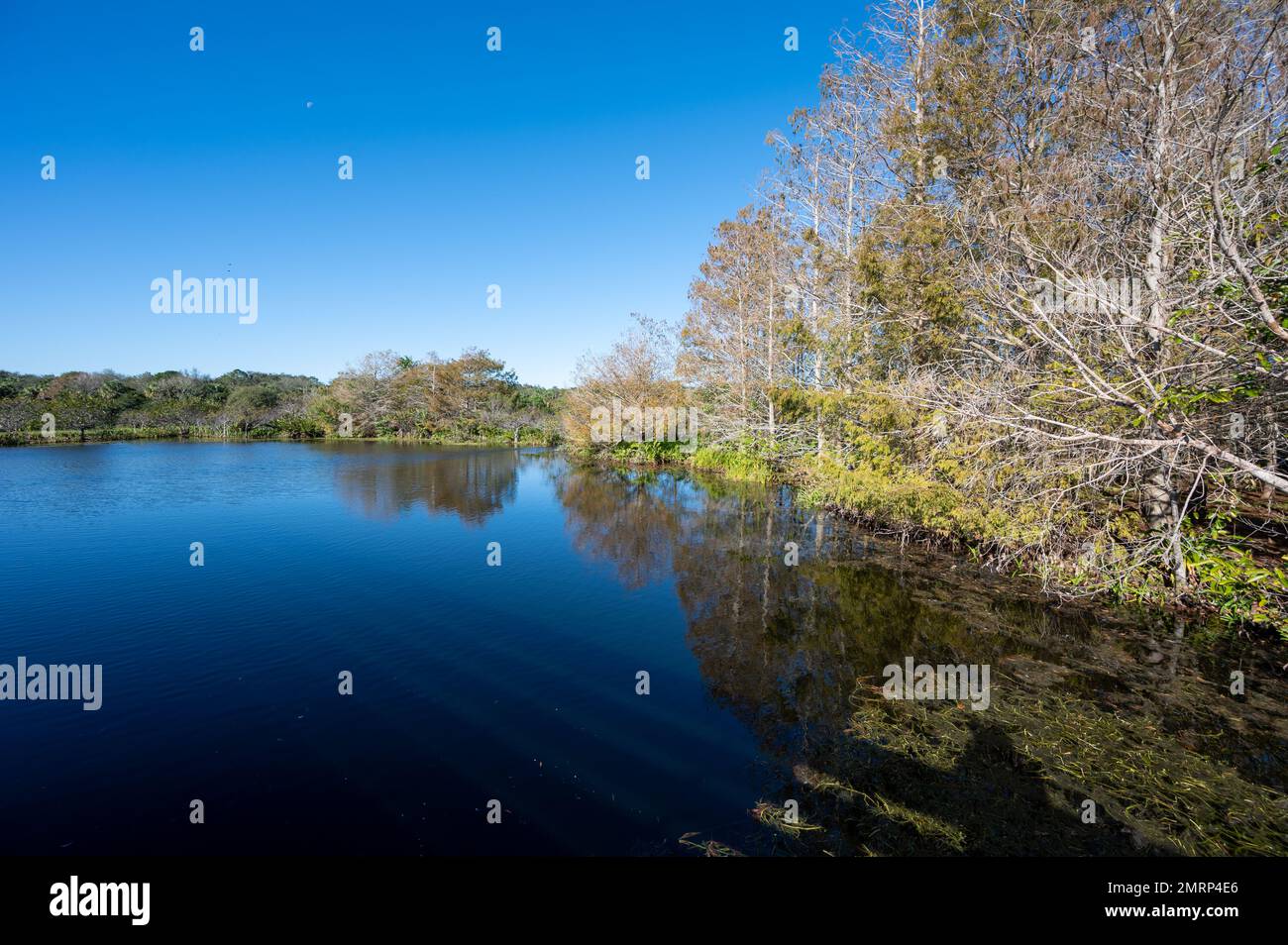 Constructed wetlands of Green Cay Nature Center in Boynton Beach ...