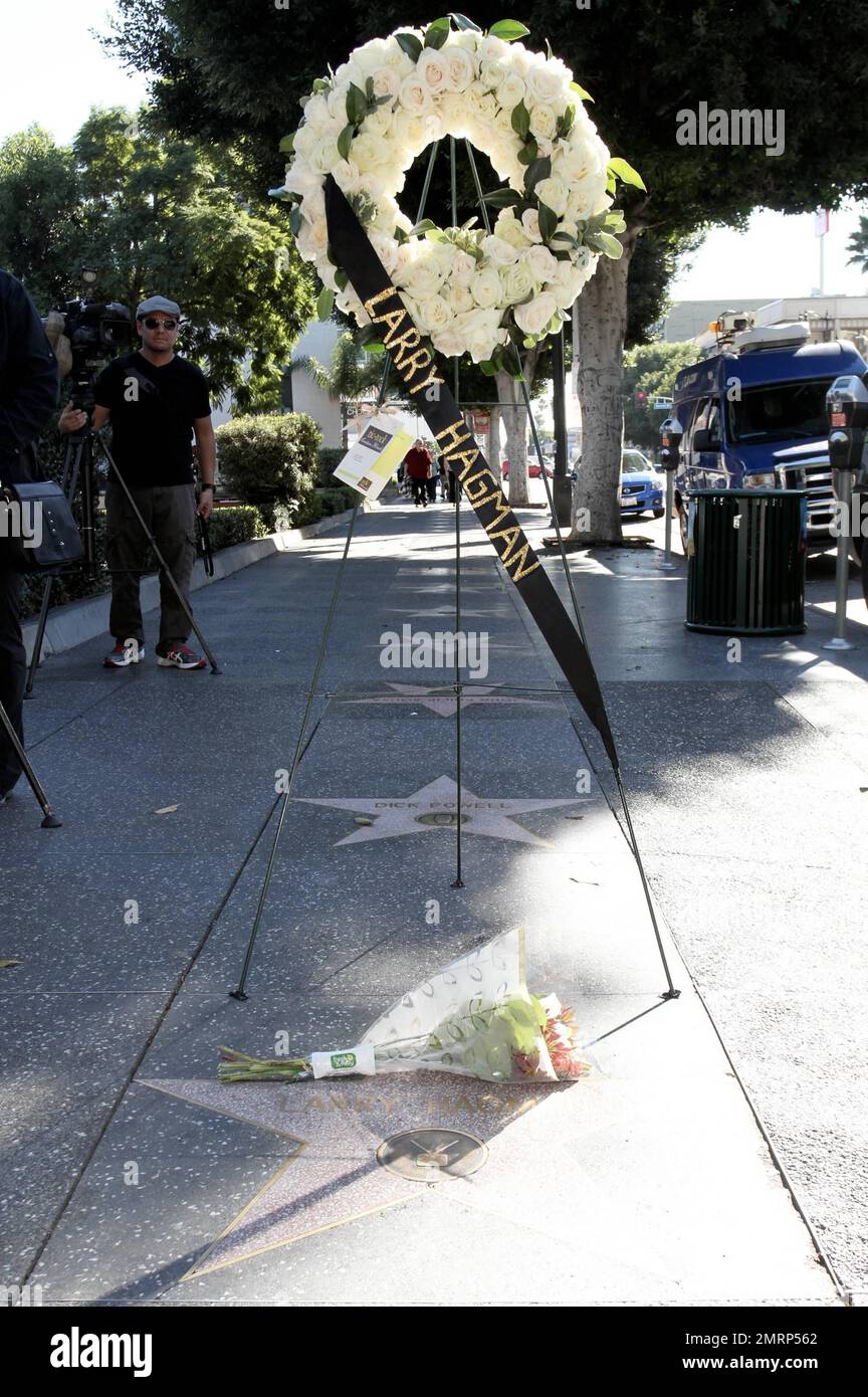 Larry Hagman Liver Transplant Controversy