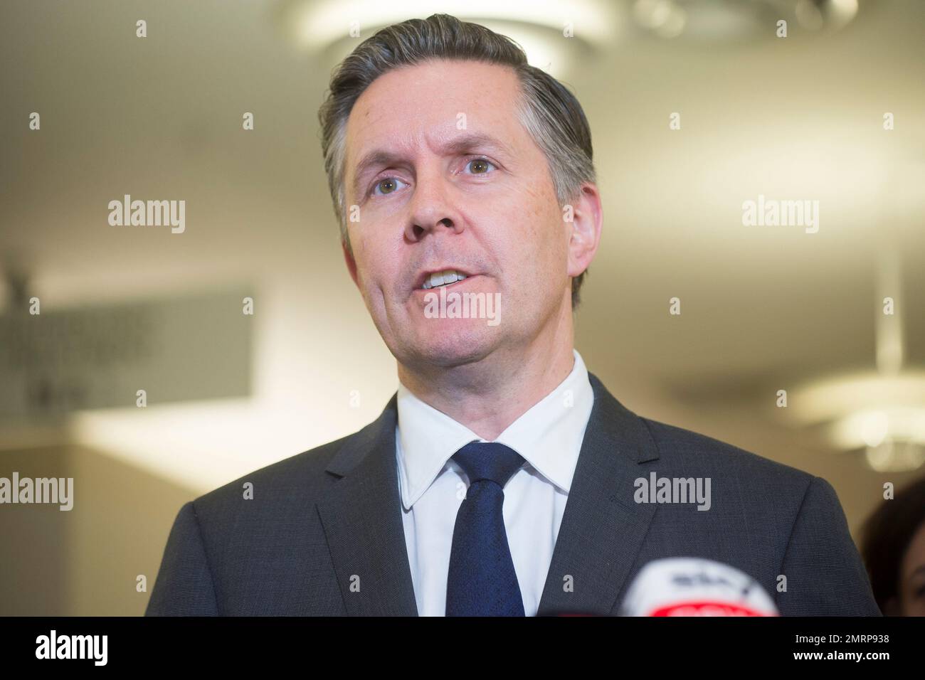 Federal Minister for Health Mark Butler speaks to media during a visit ...